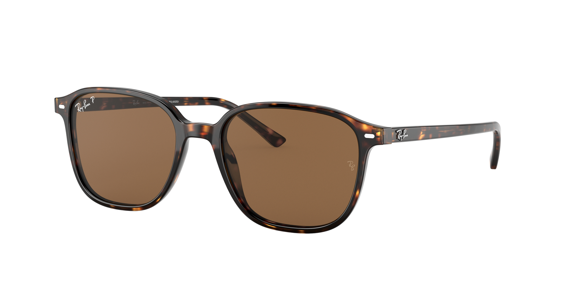 Ray-Ban 0RB2193 LEONARD 902/57 Tortoise – Moshades